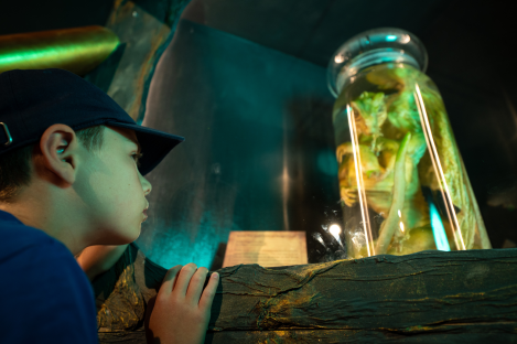 Explore The Museum | The Story Museum